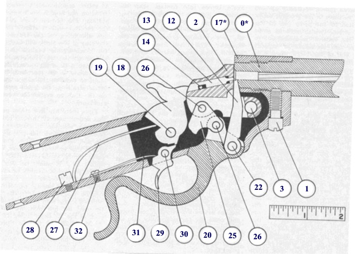 Difference between Stevens 44 and 44 1/2 guide | Rimfire Central ...